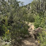 Mount Morrison Trail, Colorado - 5,855 Reviews, Map | AllTrails