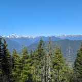 Mount Walker, Washington - 2,120 Reviews, Map | AllTrails