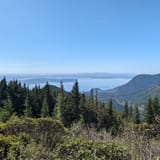 Mount Walker, Washington - 2,120 Reviews, Map | AllTrails