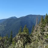 Mount Walker, Washington - 2,120 Reviews, Map | AllTrails