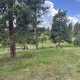 Colorow Mountain Forest and Meadow Loop Trail, Colorado - 595 Reviews ...