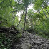 Whirlpool Trail, Ontario, Canada - 670 Reviews, Map | AllTrails