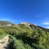 Neff's Canyon Loop, Utah - 2,656 Reviews, Map | AllTrails