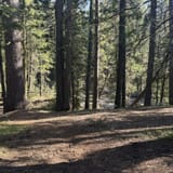 Bassi Falls, California - 3,066 Reviews, Map | AllTrails