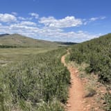 Devil's Backbone Nature Trail, Colorado - 2,180 Reviews, Map | AllTrails