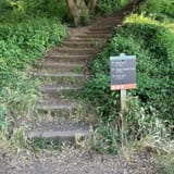 Slacker Hill via Morning Sun, Alta, SCA and Slacker Ridge, California ...