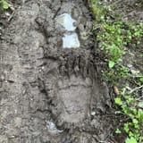 Logging Lake and Grace Lake via Logging Lake Trail, Montana - 45 ...