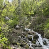 Ferguson Canyon Trail to Upper Meadow, Utah - 642 Reviews, Map | AllTrails