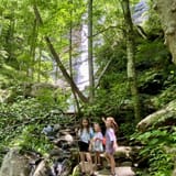 Rainbow Falls Trail, South Carolina - 2,762 Reviews, Map | AllTrails