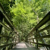 Rainbow Falls Trail, South Carolina - 2,762 Reviews, Map | AllTrails