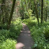 Forest Park Ridge Trail, Oregon - 1,320 Reviews, Map | AllTrails