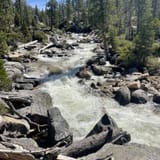 Bassi Falls, California - 3,191 Reviews, Map | AllTrails