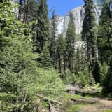 Sentinel Meadow Cook's Meadow Loop Trail, California - 3,368 Reviews ...