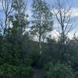 Armstrong Trail to Dawns Trail Loop, Utah - 2,726 Reviews, Map | AllTrails