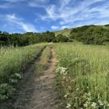 Temple Loop, Utah - 229 Reviews, Map | AllTrails