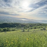 Temple Loop, Utah - 229 Reviews, Map | AllTrails