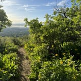 Temple Loop, Utah - 229 Reviews, Map | AllTrails