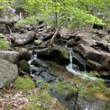 Jordan Stream Path, Maine - 164 Reviews, Map | AllTrails