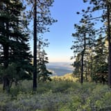 Animas Overlook Trail, Colorado - 133 Reviews, Map | AllTrails