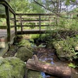 Hashawha Loop Trail, Maryland - 1,148 Reviews, Map | AllTrails