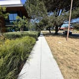 Bay Farm Island Loop Trail, California - 1,183 Reviews, Map | AllTrails