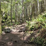 Little Si Trail, Washington - 11,326 Reviews, Map | AllTrails