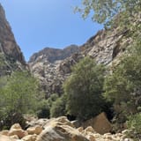 Ice Box Canyon Trail, Nevada - 3,174 Reviews, Map | AllTrails