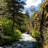 Rapid River Trail, Idaho - 260 Reviews, Map | AllTrails
