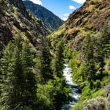 Rapid River Trail, Idaho - 260 Reviews, Map | AllTrails