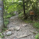 Mount Tammany via Red Dot and Blue Dot Loop Trail, New Jersey - 13,525 ...