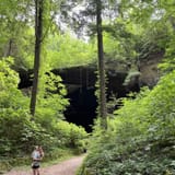 Natural Bridge Park Loop, Alabama - 302 Reviews, Map | AllTrails