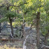 Fatmans Loop Trail, Arizona - 5,244 Reviews, Map | AllTrails