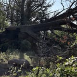 Fatmans Loop Trail, Arizona - 5,244 Reviews, Map | AllTrails