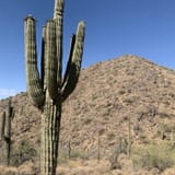 Gateway Loop Trail, Arizona - 11,920 Reviews, Map | AllTrails