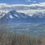 Lazy Mountain Trail, Alaska - 1,193 Reviews, Map | AllTrails