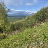Lazy Mountain Trail, Alaska - 1,193 Reviews, Map | AllTrails