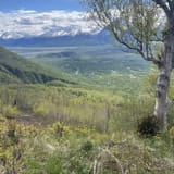 Lazy Mountain Trail, Alaska - 1,193 Reviews, Map | AllTrails