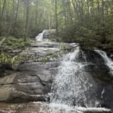 Fall Branch Falls Trail, Georgia - 1,290 Reviews, Map | AllTrails