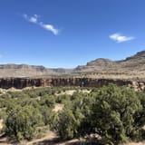 Palisade Rim Trail, Colorado - 1,576 Reviews, Map | AllTrails
