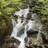 Ira Spring Memorial Trail, Washington - 2,104 Reviews, Map | AllTrails