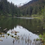 Two Lakes Trail, Alaska - 525 Reviews, Map | AllTrails