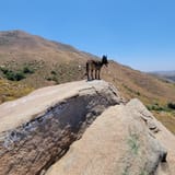 Two Trees Trail, California - 1,419 Reviews, Map | AllTrails
