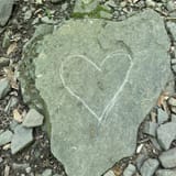 Mount Tremper Trail, New York - 1,602 Reviews, Map | AllTrails