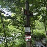 Mount Tremper Trail, New York - 1,522 Reviews, Map | AllTrails