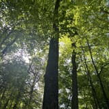 Mount Tremper Trail, New York - 1,520 Reviews, Map | AllTrails