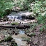 Winding Stairs Loop, Tennessee - 795 Reviews, Map | AllTrails