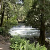 Whatcom Creek Trail Loop, Washington - 1,867 Reviews, Map | AllTrails