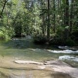 Whatcom Creek Trail Loop, Washington - 1,867 Reviews, Map | AllTrails