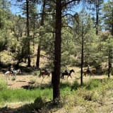 Balancing Rock Trail, Arizona - 653 Reviews, Map | AllTrails