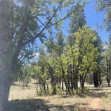 Campbell Mesa Loop, Arizona - 1,329 Reviews, Map | AllTrails